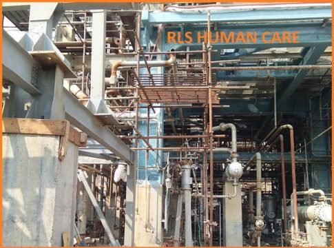 TYPES OF SCAFFOLDING | RLS HUMAN CARE